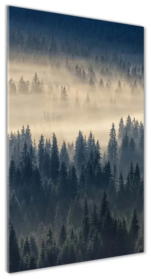 Wallmuralia Foto obraz akryl do obýváku Mlha nad lesem 60x120 cm