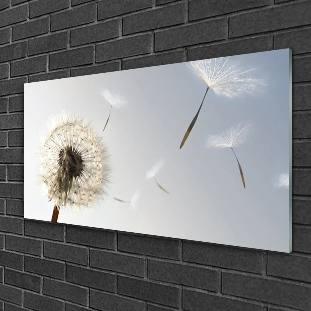 Obraz na skle Pampeliška Květiny Příroda 140x70 cm
