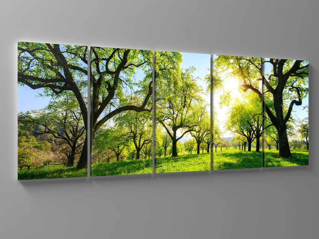 Liox Obraz zelená alej Rozměr: 250 x 100 cm