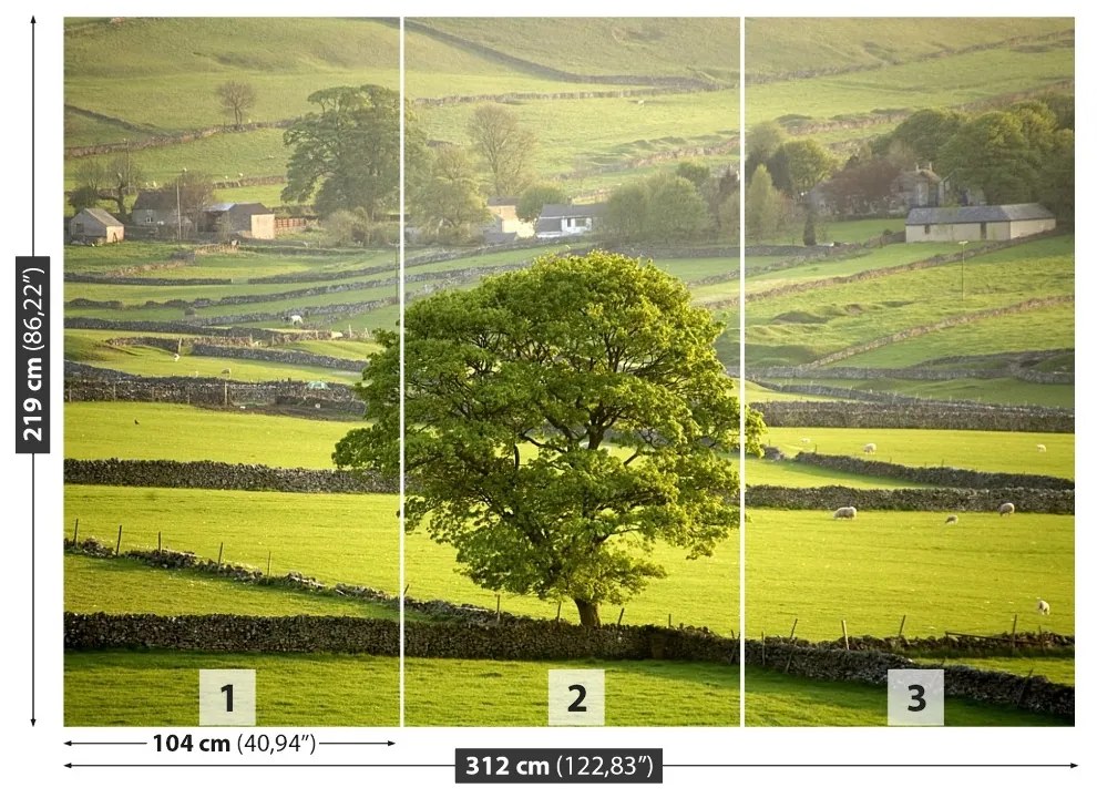 Fototapeta Anglie Derbyshire 104x70