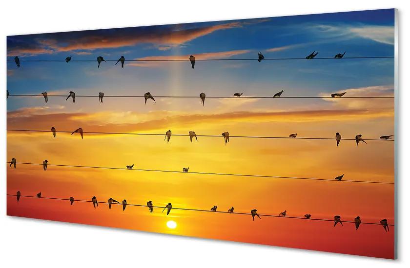 Obraz na skle Ptáci na lanech západu slunce 140x70 cm