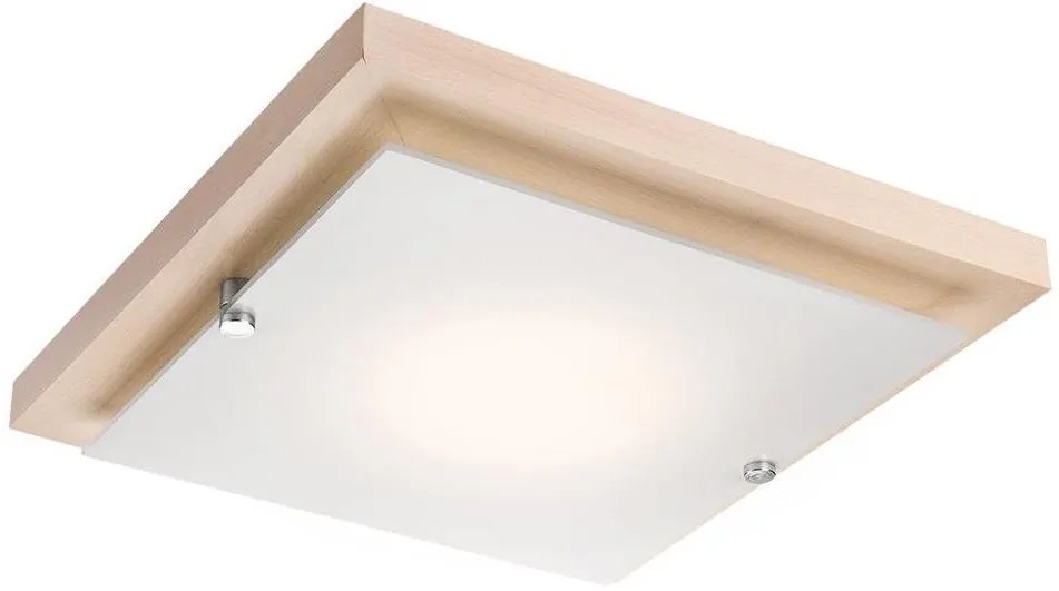Stropní světlo led stropní svítidlo 1xled/12w/230v