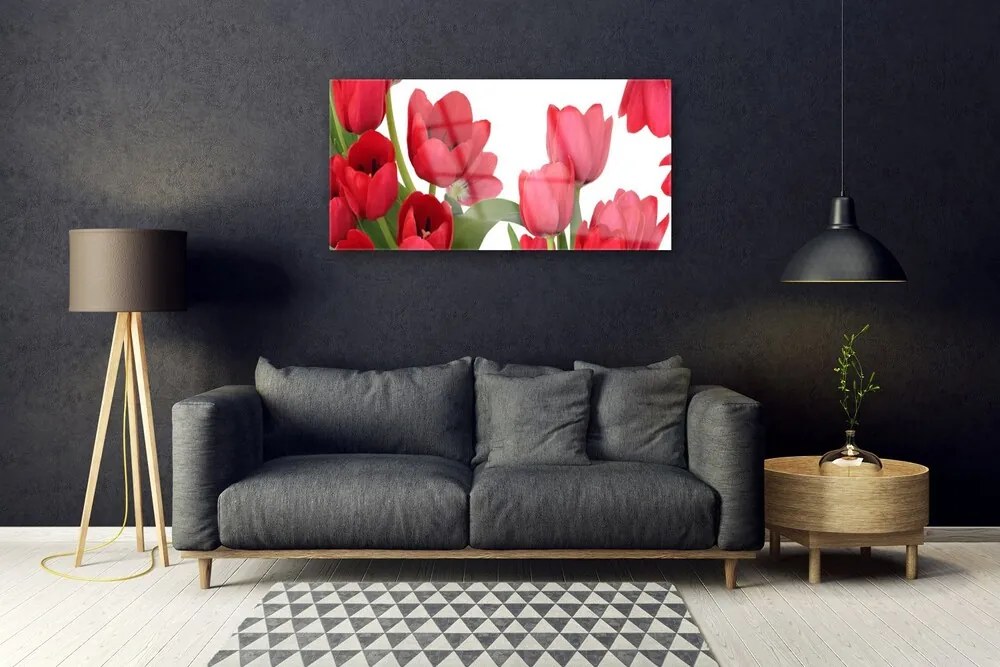 akrylový obraz Tulipány Květiny Rostlina 100x50 cm