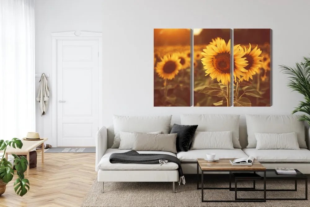 Vícedílný obraz Pole Slunečnic V Retro 3D Stylu Nedostatek Nedostatek Plátno Canvas 120x80