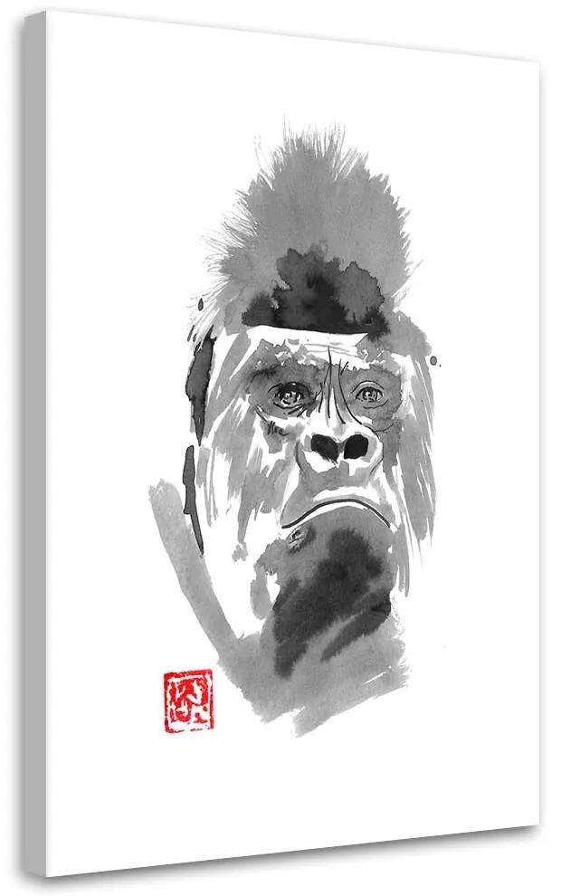 Gario Obraz na plátně Gorila - Péchane Rozměry: 40 x 60 cm