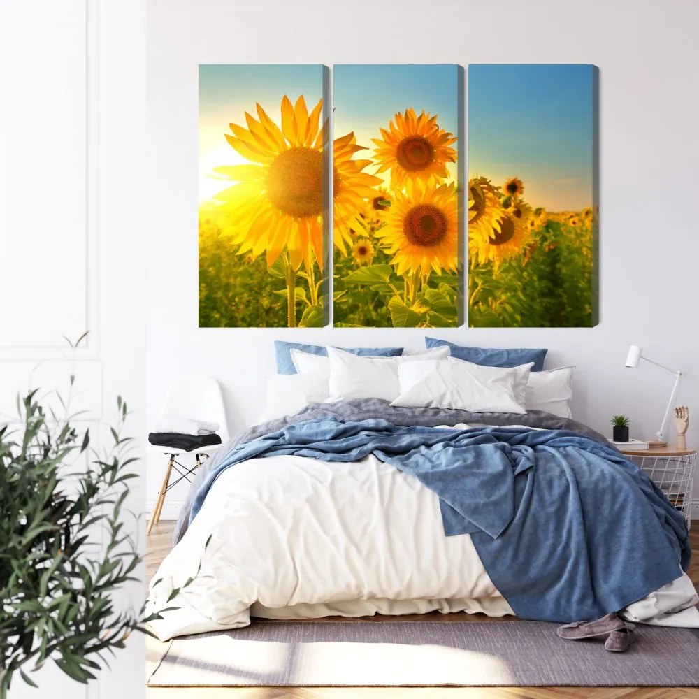 Vícedílný obraz Slunečnicové Pole Při Západu Slunce 3D Nedostatek Nedostatek Plátno Canvas 180x120