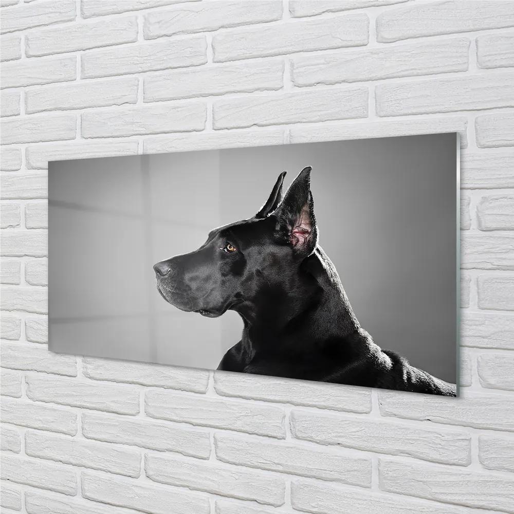 akrylový obraz Černý pes 125x50 cm