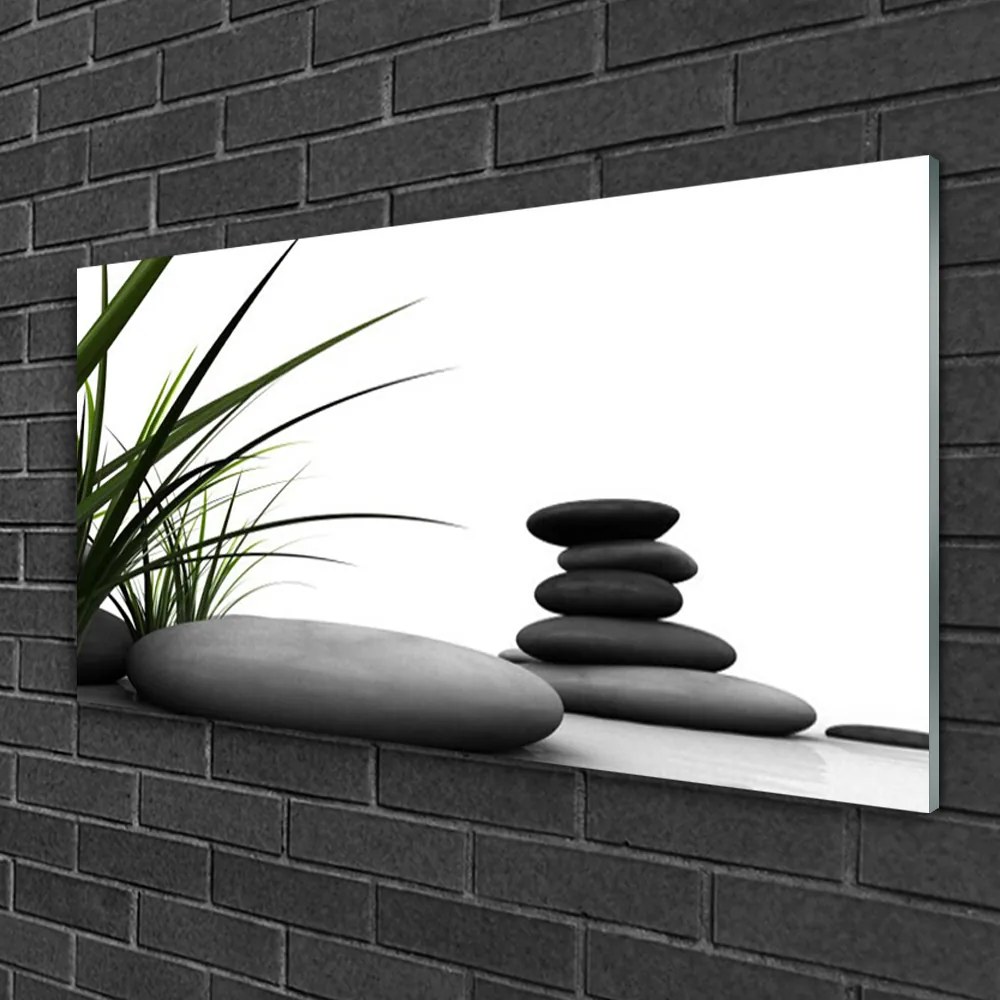 Obraz na skle Kameny Zen Tráva 120x60 cm