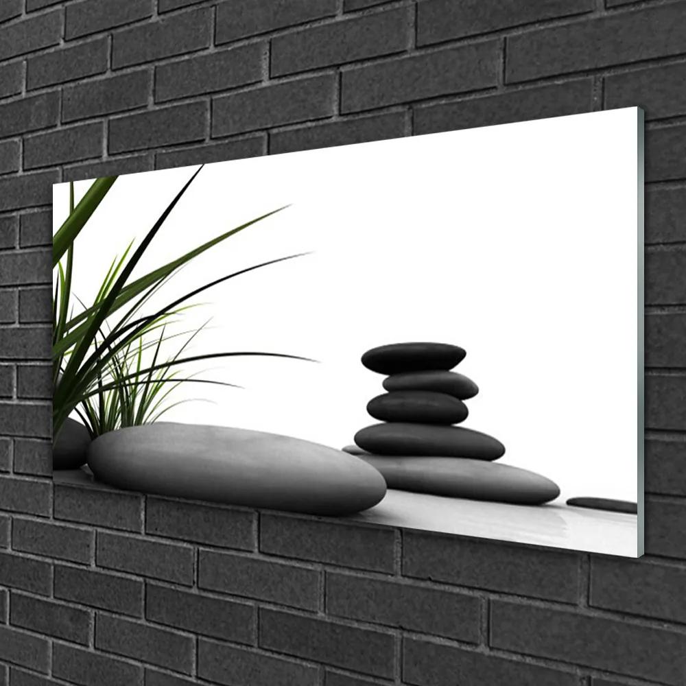 Obraz na skle Kameny Zen Tráva 125x50 cm