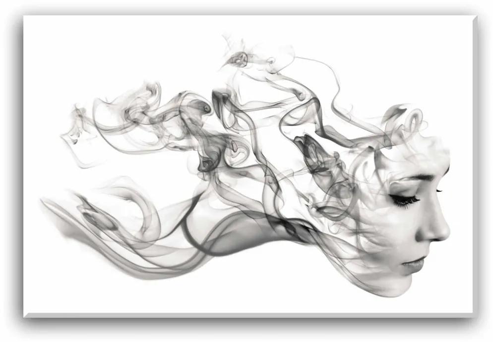 Obraz dívka z kouře Velikost (šířka x výška): 150x100 cm