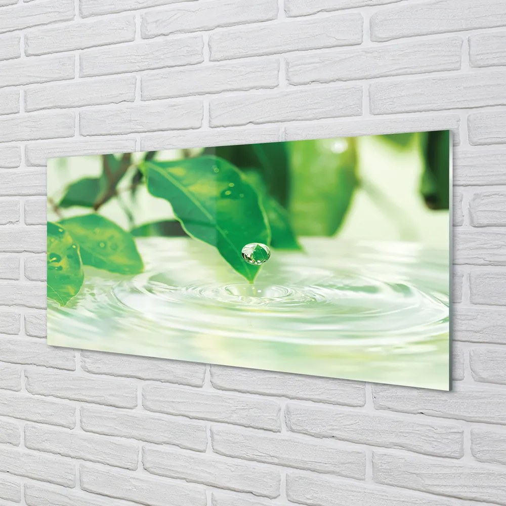 Obraz na skle Kapky vody listí 100x50 cm