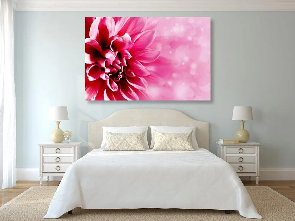 Obraz růžový květ Varianta: 90x60