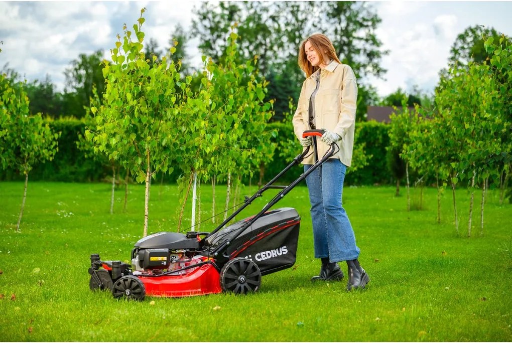 Hahn & Sohn Cedrus Benzínová sekačka KS51S-ZT s pojezdem otočná přední kola HP161050