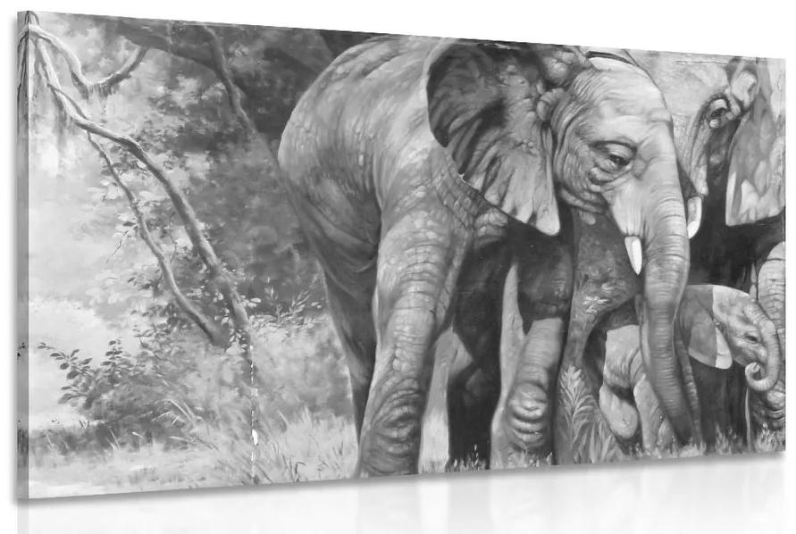 Obraz sloní rodinka v černobílém provedení - 60x40 cm