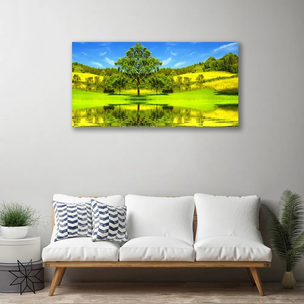 Obraz na plátně Louka Strom Příroda 120x60 cm