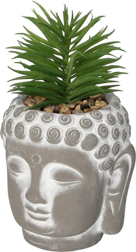 Dekorace Succulent I Buddha 17cm