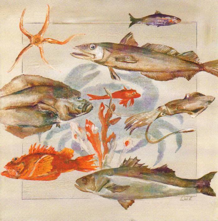 ART-STYLE Obrázek 30x30, ryby, rám sv. dub - červotoč