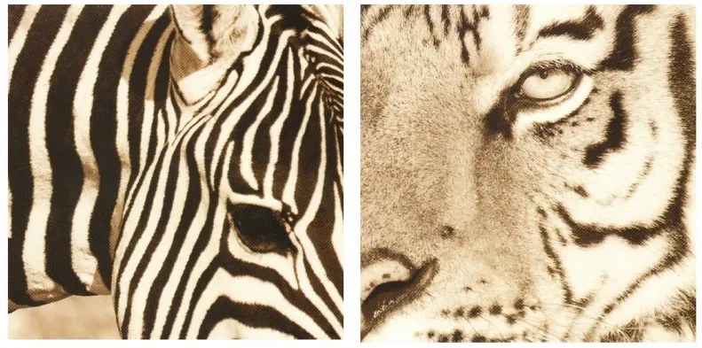 ART-STYLE Set obrázků 30x30, tygr & zebra, rám bílý s patinou