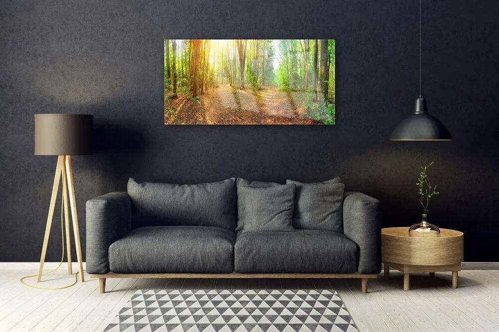 Obraz na skle Slunce Příroda Lesní Stezka 100x50 cm