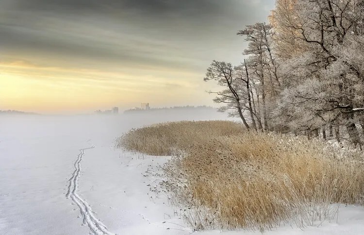 Umělecká fotografie Misty winter morning, Keijo Savolainen, (40 x 26.7 cm)