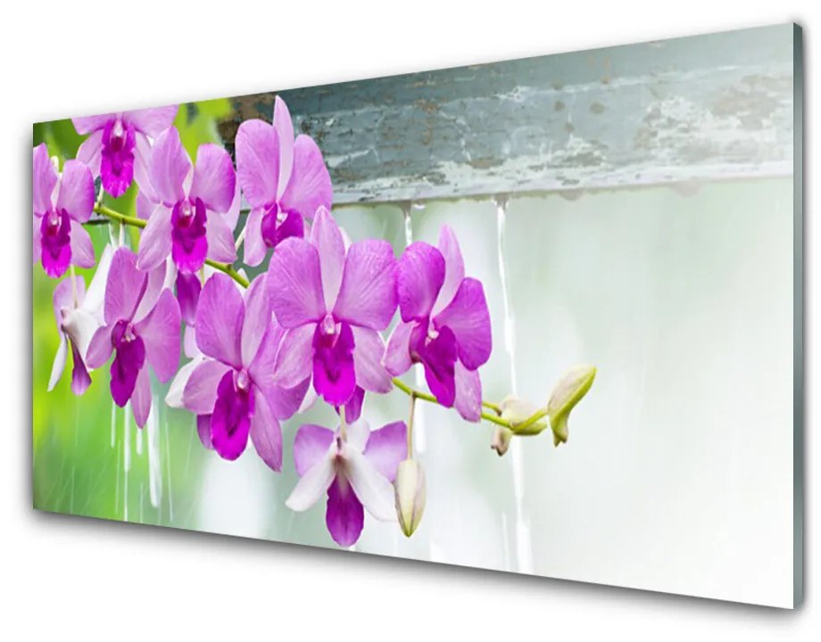 Obraz na skle Orchideje Kapky Příroda 100x50 cm