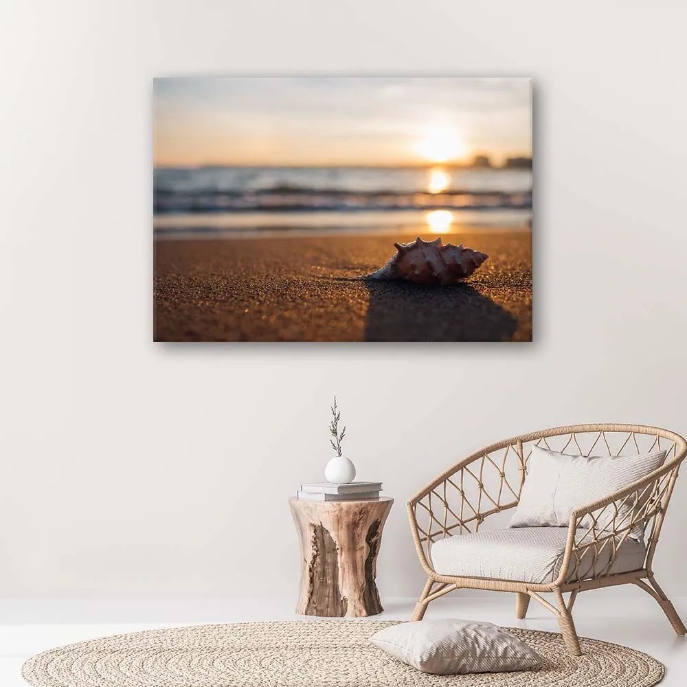 Gario Obraz na plátně Mušle na pláži Rozměry: 60 x 40 cm