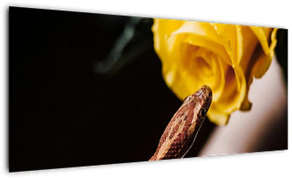 Obraz hada se žlutou růží (100x40cm)