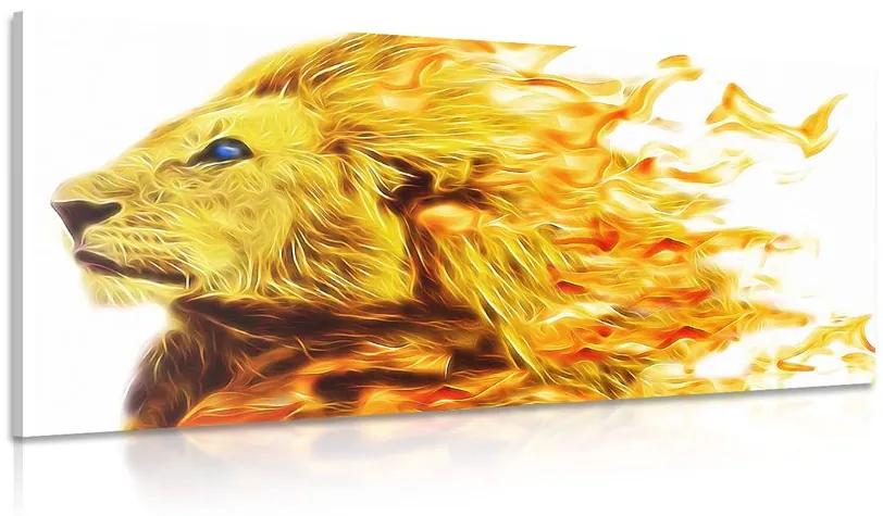 Obraz ohnivý lev Varianta: 120x60