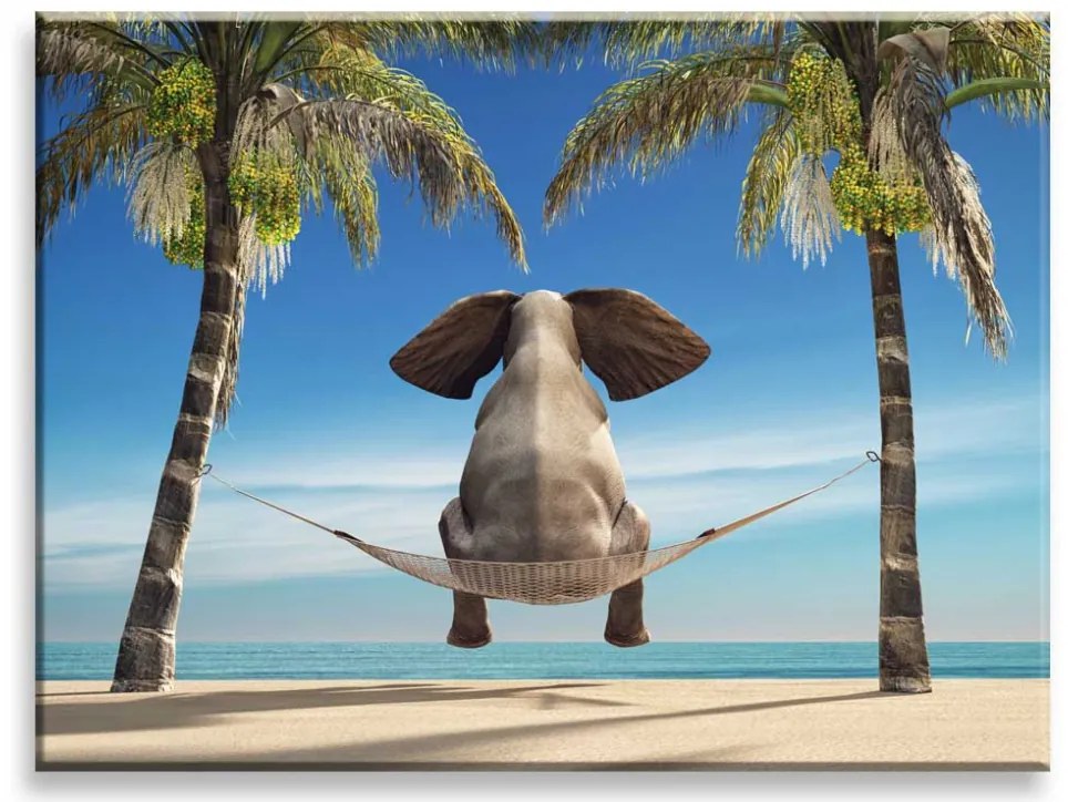 Obraz slon na pláži Velikost (šířka x výška): 50x40 cm