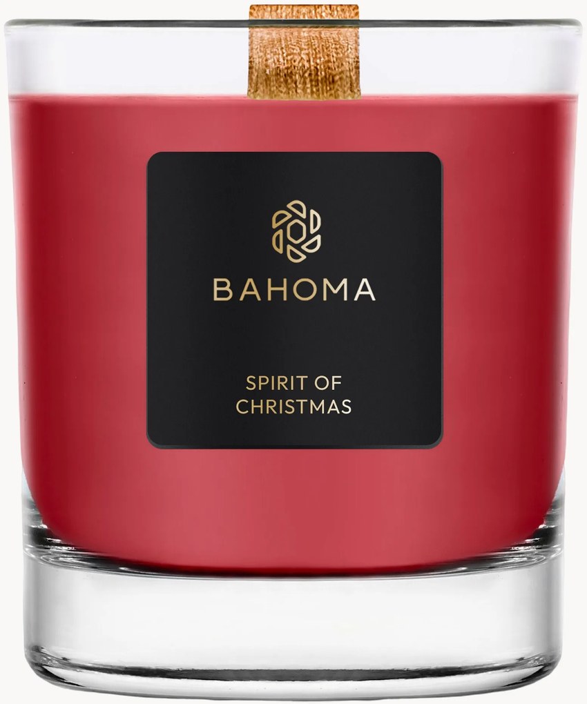 Ručně vyrobená vonná svíčka Sprit of Christmas (černý rybíz, hřebíček a ambra)