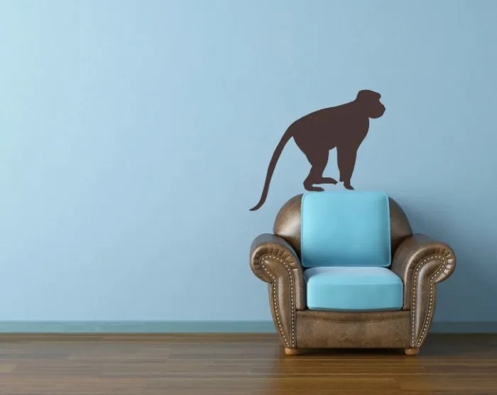 Samolepka na zeď Opice - 40 x 22 cm