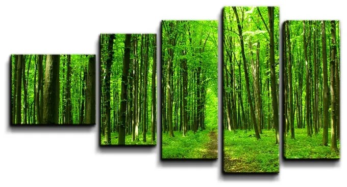 5- dílný obraz 110x60 - Zelený les - Sablo.cz
