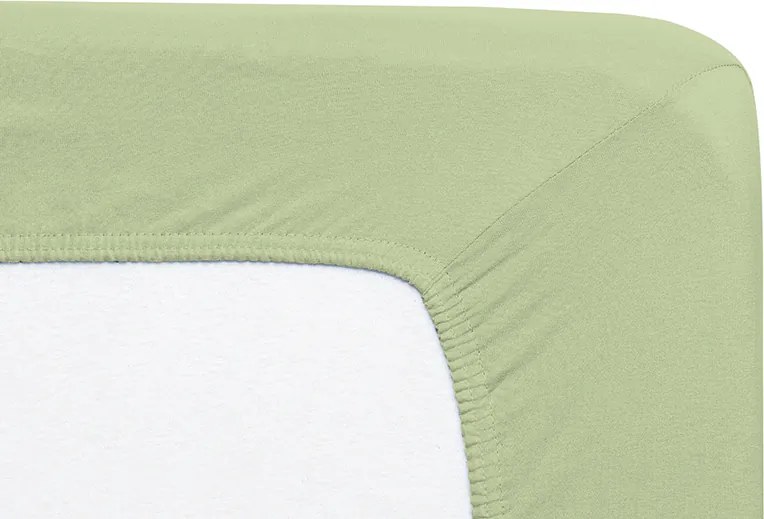 Florella Prostěradlo Avance Jersey 45 Grün, 140-160x200 cm