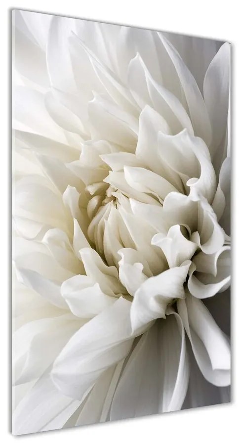 Wallmuralia Moderní akrylový fotoobraz Bílá dálie 50x100 cm