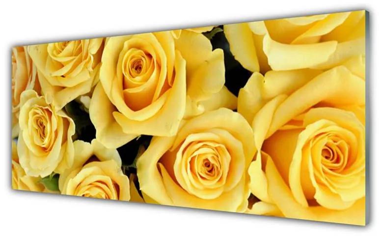 E-shop24, 125 x 50 cm, 2S - 42860315,  Obraz na skle - Růže žluté 125 x 50 cm