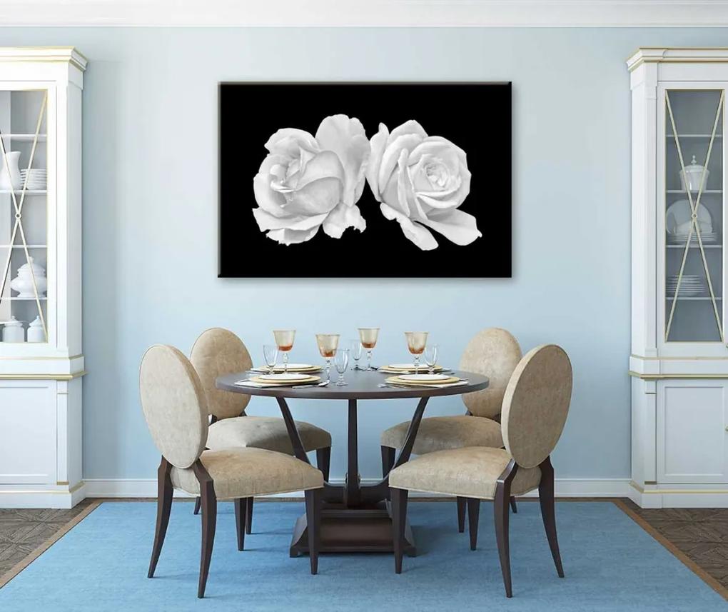 Malvis ® Obraz tajemná bílá růže Velikost: 90x60 cm
