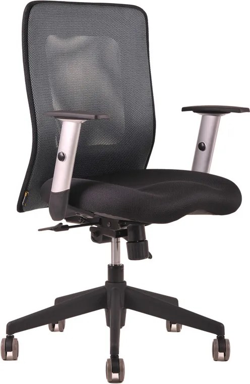 Office Pro Kancelářská židle na kolečkách Office Pro CALYPSO - s područkami Světle šedá 12A11