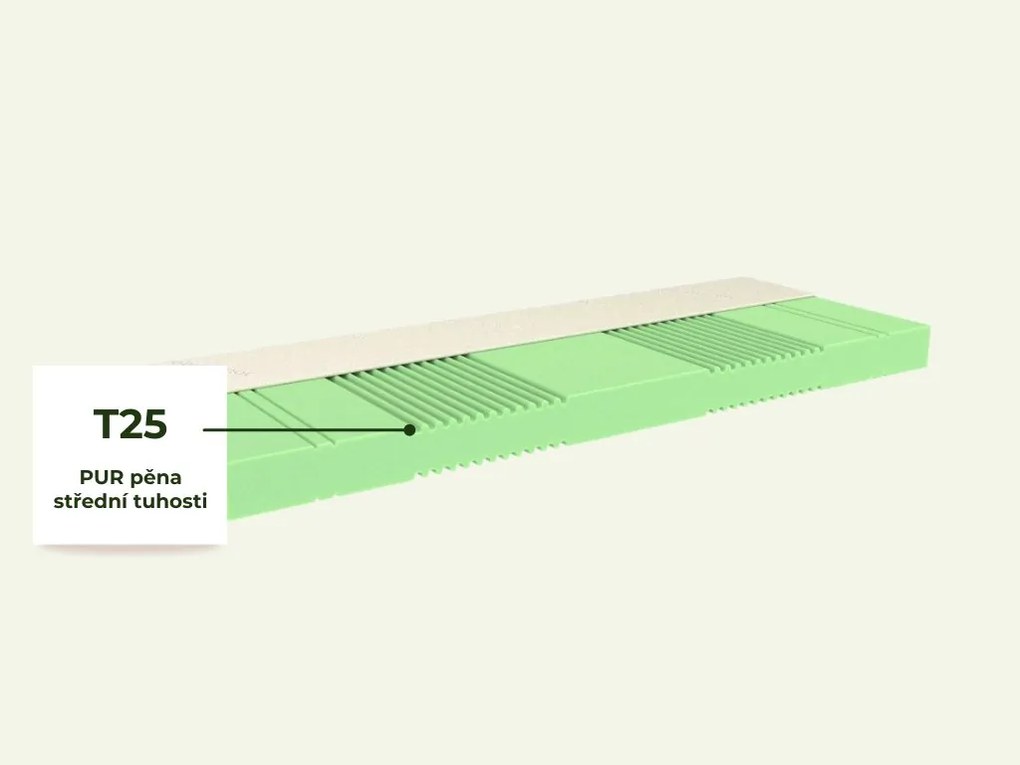 Benlemi Nízké jednolůžko FENCE 4v1 se zábranou 90x200 cm + matrace ADAPTIC Zvolte barvu: Béžová, Zvolte zábranu: S jednou zábranou