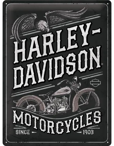 Postershop Plechová cedule: Harley-Davidson Motorcycles Eagle - 40x30 cm