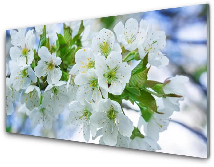 Obraz na skle Květiny Strom Listy Příroda 100x50 cm