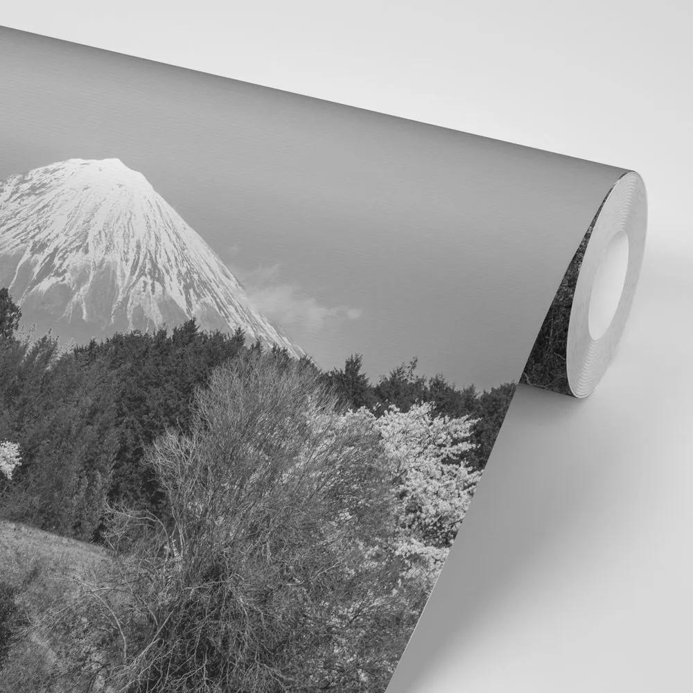 Samolepící fototapeta hora Fuji v černobílém