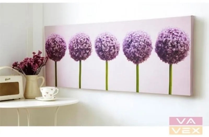 Obraz 40-234, Row of Alliums, Wall Art, Graham Brown