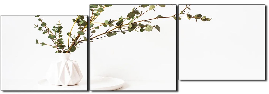 Obraz na plátně - Větev eukalyptu v bílé váze na bílém pozadí - panoráma 5272E (90x30 cm)