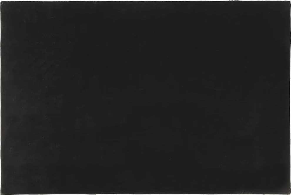 Rohožka před dveře černá 60 x 90 cm kokosové vlákno 155576