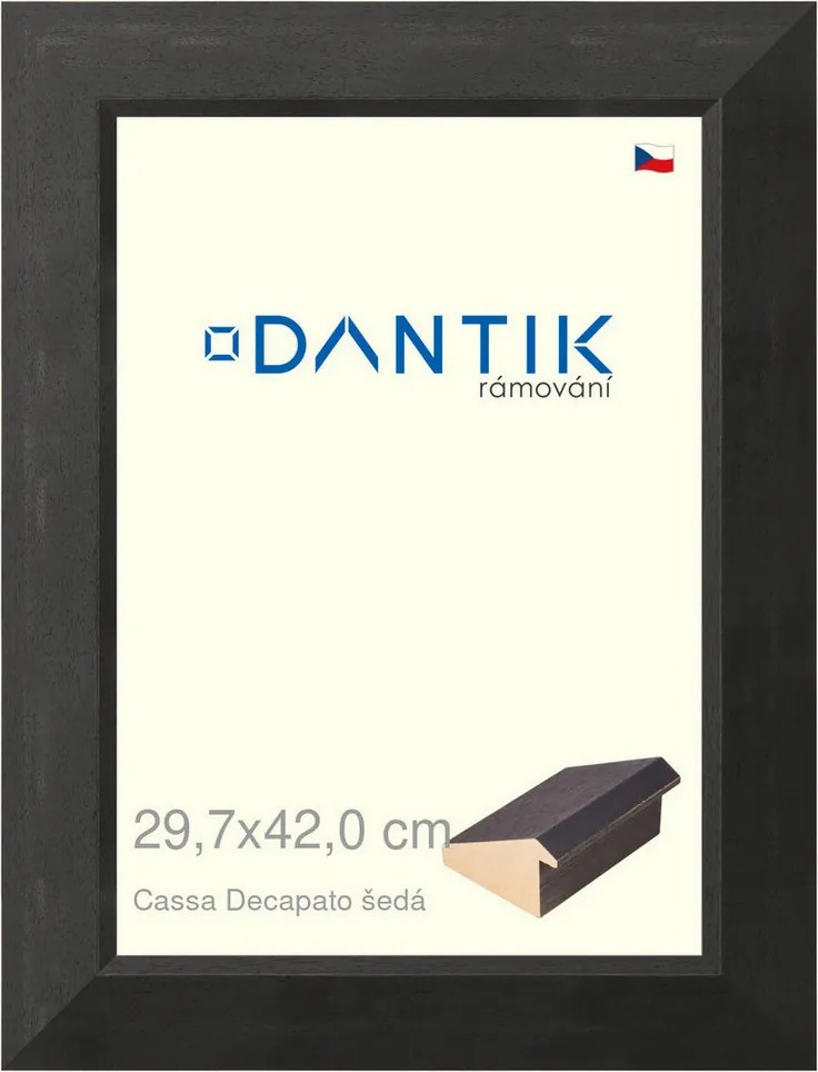 DANTIK rámeček 29,7x42 | Caa Decapato černá (Plexi Čiré)