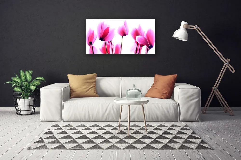 Obraz na plátně Květíny Rostlina 100x50 cm