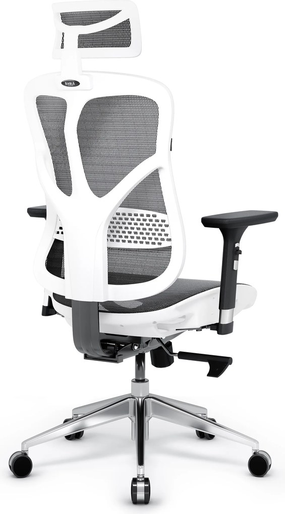 Ergonomická kancelářská židle ze síťoviny, bílý-šedý: Diablo V-Basic