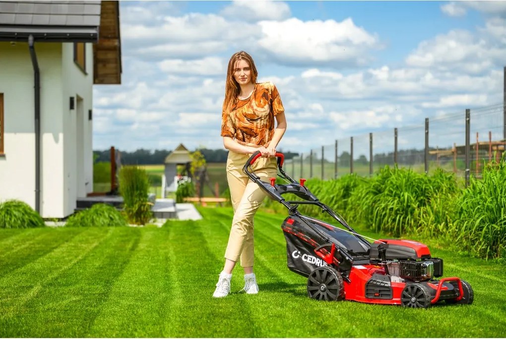 Hahn & Sohn Cedrus Sekačka benzínová KS53S s pojezdem HP16108