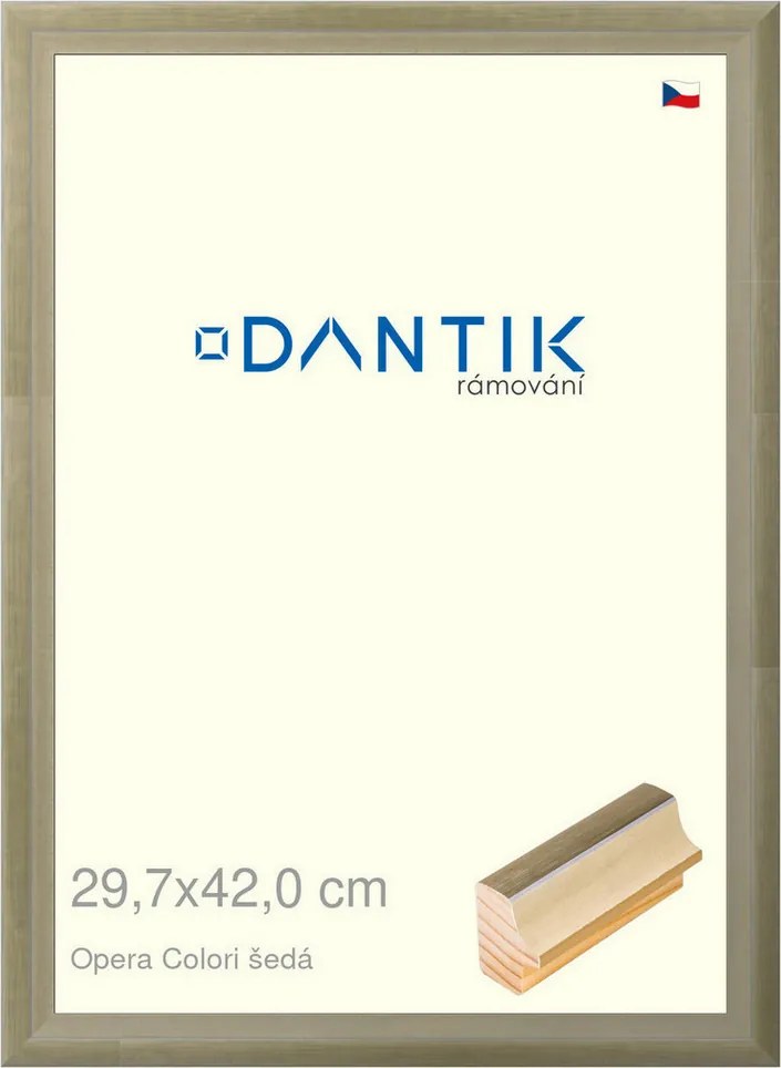 DANTIK rámeček 29,7x42 | OPERA Colori šedá (Plexi Čiré)