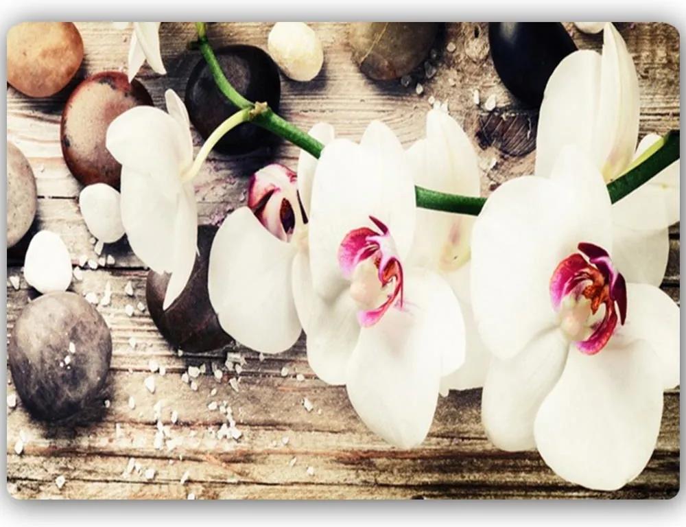 CARO Kovový obraz - Orchids Zen 2 60x40 cm